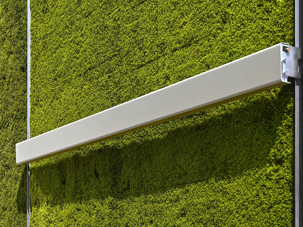 Green walls for fighting climate change. | maxon group