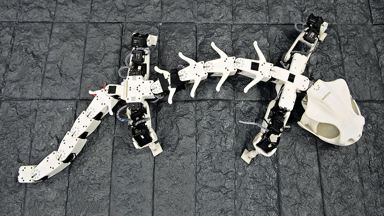 Fauna Robotica | maxon group